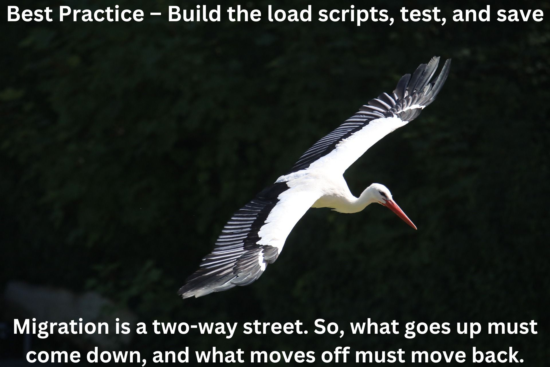 Data Migration Best Practices – Software connecting all databases